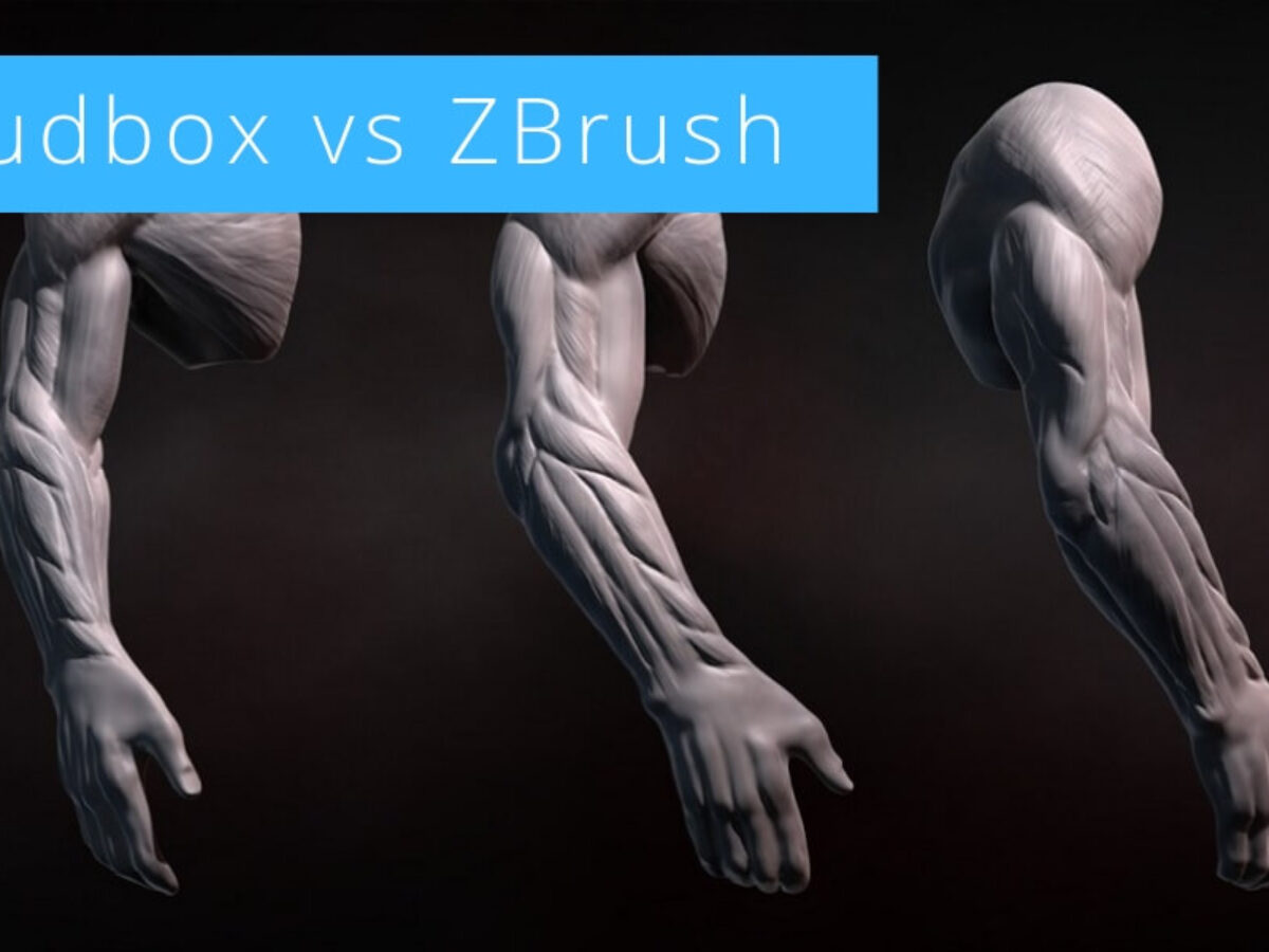 Zbrush Vs Mudbox Mudbox Vs ZBrush: What Program To Choose?